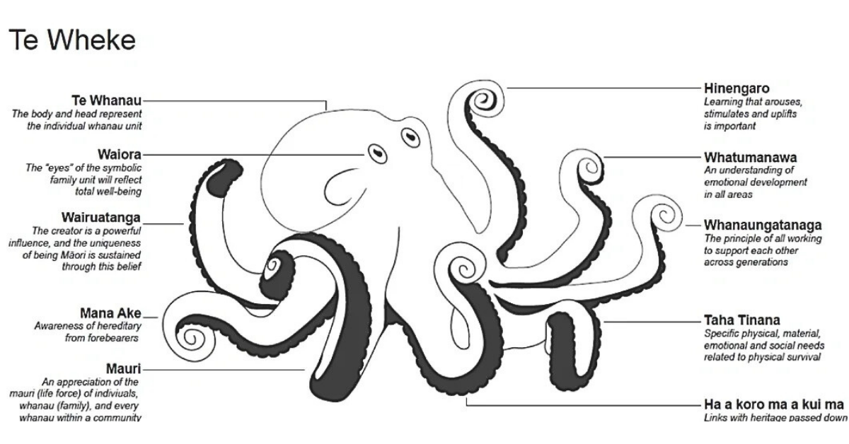 A Māori framework of wellbeing